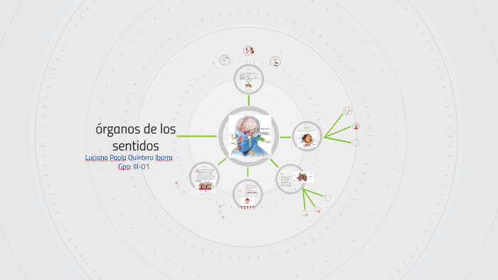 organos de los sentidos by luciana quintero on Prezi