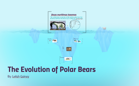The Evolution of Polar Bears by Leilah Gainey on Prezi