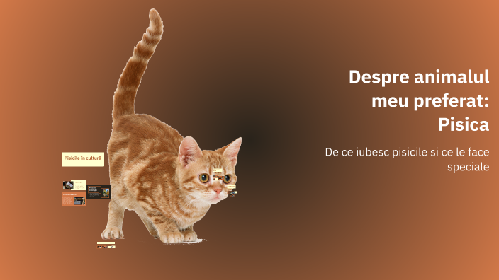 Despre animalul meu preferat: Pisica by Teagan Spicer on Prezi