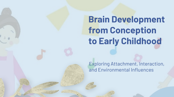 Brain Development from Conception to Early Childhood by Grace ...