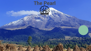 The pearl infographic by KOEN PARCEY on Prezi Design