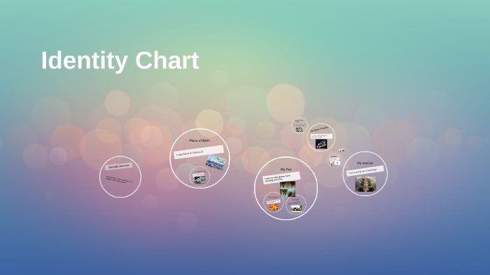 Identity Chart by Katie Selbe