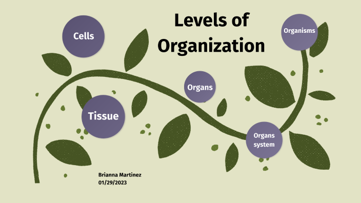 Levels of Organization-Biology by Brianna Martinez on Prezi