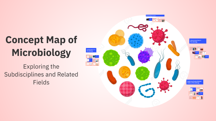 Concept Map of Microbiology by khadi keita on Prezi