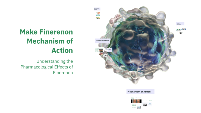 Make Finerenon Mechanism of Action by Sabbir Sarker on Prezi