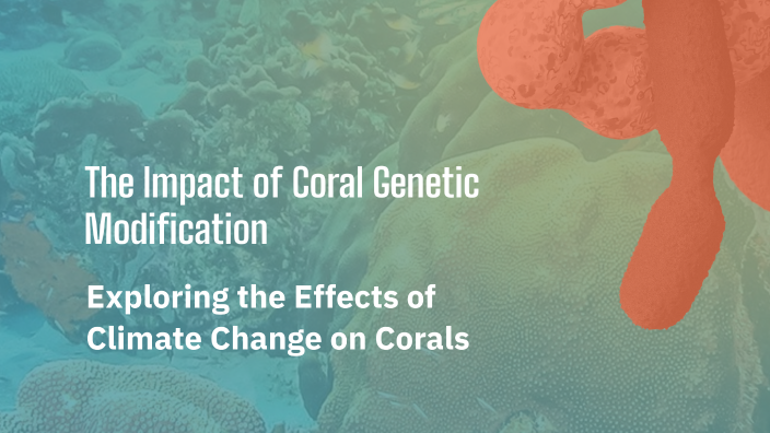 Coral Genetic Modification: Adapting to Climate Change by Darryl Kuah ...