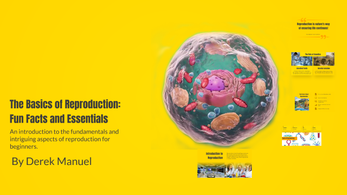 The Basics of Reproduction: Fun Facts and Essentials by ᗪ乇尺丨Ҝ 爪卂几ㄩ乇ㄥ on ...