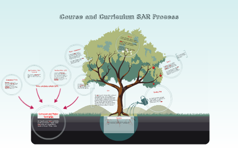 Course level SAR Process by Rebecca Doyle on Prezi