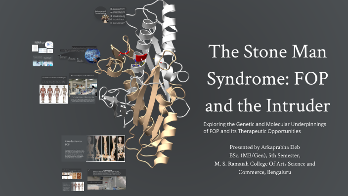 The Stone Man Syndrome: FOP and the Intruder by Arkaprabha Deb on Prezi