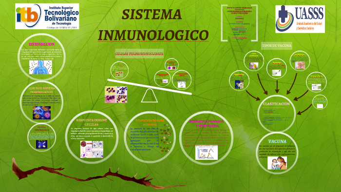 INSTITUTO SUPERIOR TECNOLOGICO BOLIVARIANO by Jennifer Constante on Prezi