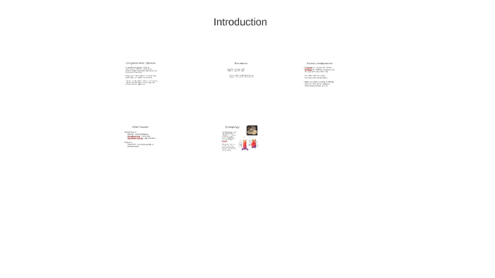 CHD "Basics" by Eric Purifoy on Prezi