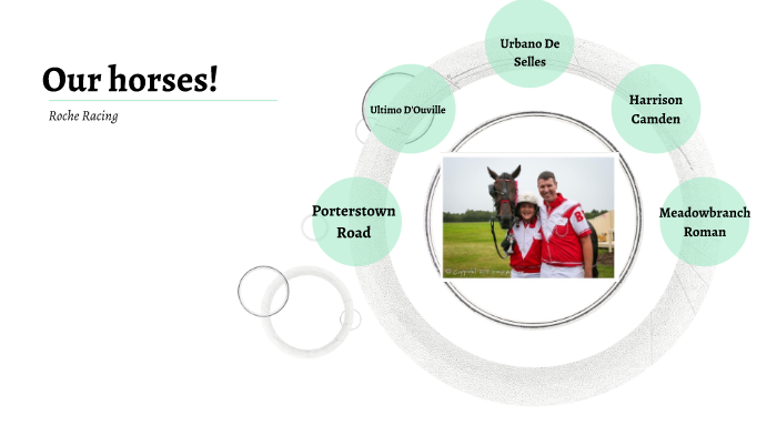 Horses by Katelyn Roche on Prezi