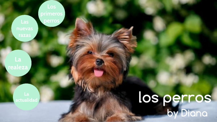 la historia de los perros by Diana Cruz on Prezi