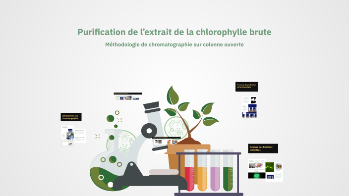 Purification de l’extrait de la chlorophylle brute by cedrati virus on ...