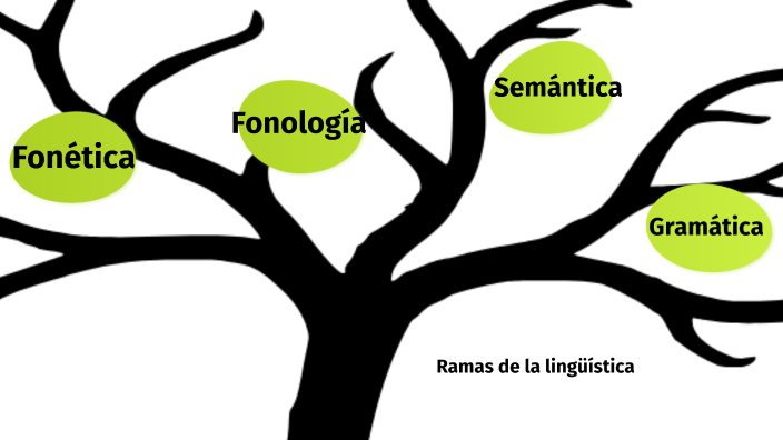 Ramas de la lingüística y la gramática by Lina Alejandra Ortiz Agudelo ...