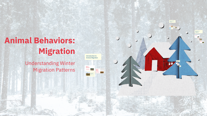 Animal Behaviors: Migration with more slides and pictures by dgty dhk ...