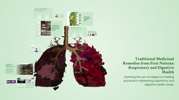 Traditional Medicinal Remedies from First Nations: Focus on Respiratory ...