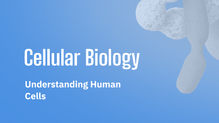 Understanding Human Cells by Tatiana Matthews on Prezi