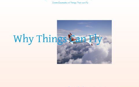 Why Things Can Fly by Julia Zhu on Prezi
