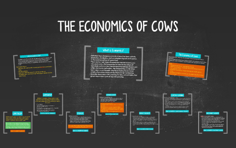 THE ECONOMICS OF COWS by Andrea Martin on Prezi
