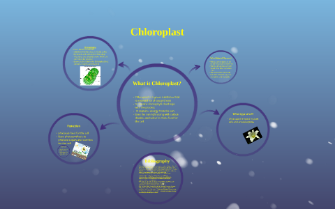 Chloroplast by Alex Perugini