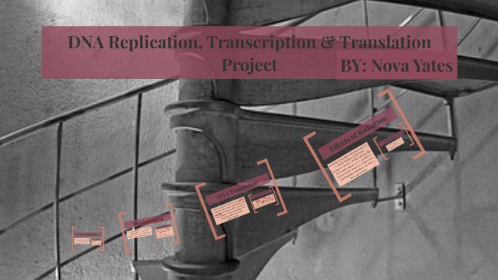 DNA Replication, Transciption & Traslation Project by Nova Yates