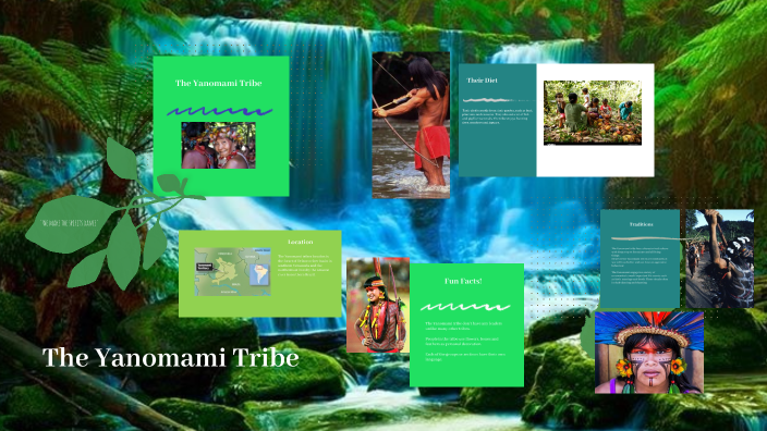 The Yanomami tribe by Maja Matilda Hanns on Prezi