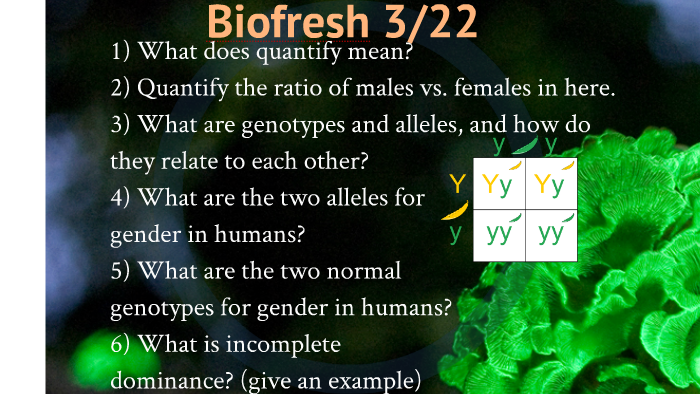 3/22 Natural Selection Butterflies by Mr. Bowen on Prezi