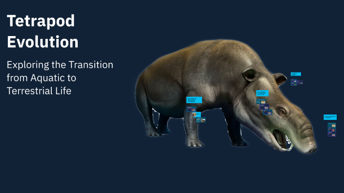 Tetrapod Evolution by David Andrei Stan on Prezi