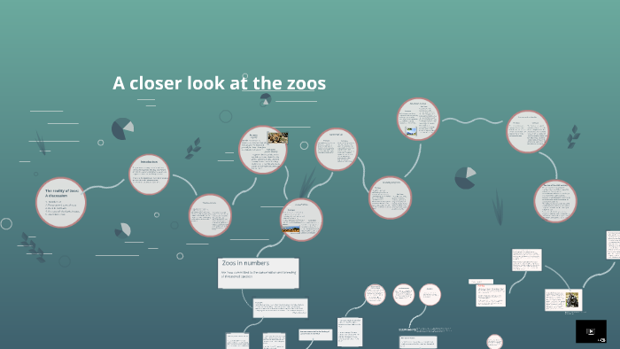 The reality of zoos by Esther Paretas on Prezi