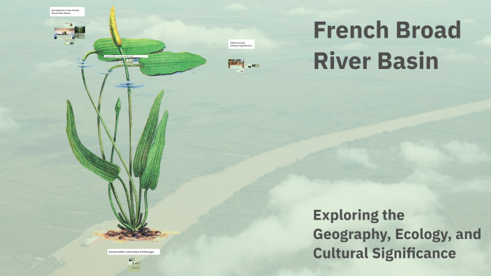 French Broad River Basin by Zamara Davis on Prezi