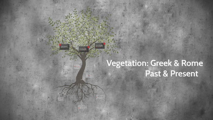 Vegetation: Greek & Rome by Teresa ... on Prezi