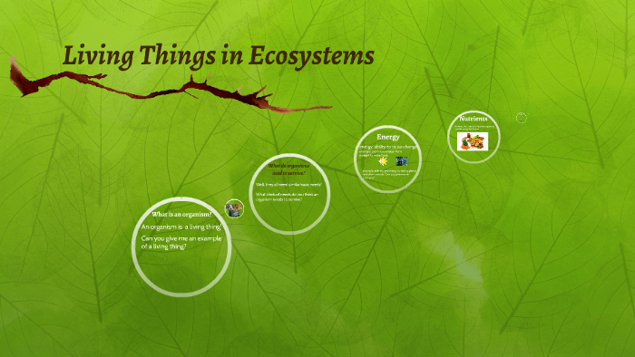 Living Things in Ecosystems by on Prezi