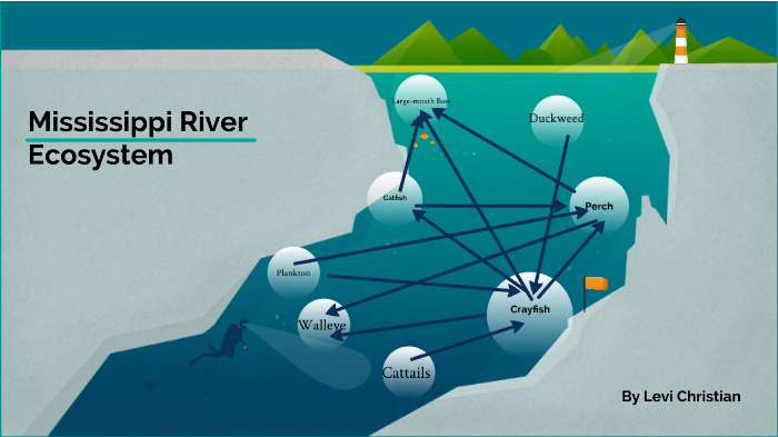 Mississippi River Ecosystem by levi christian on Prezi