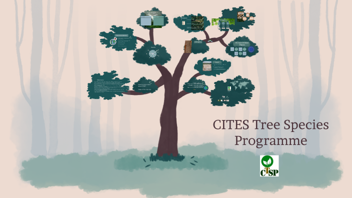 CITES Tree Species Programme by Madeline S on Prezi