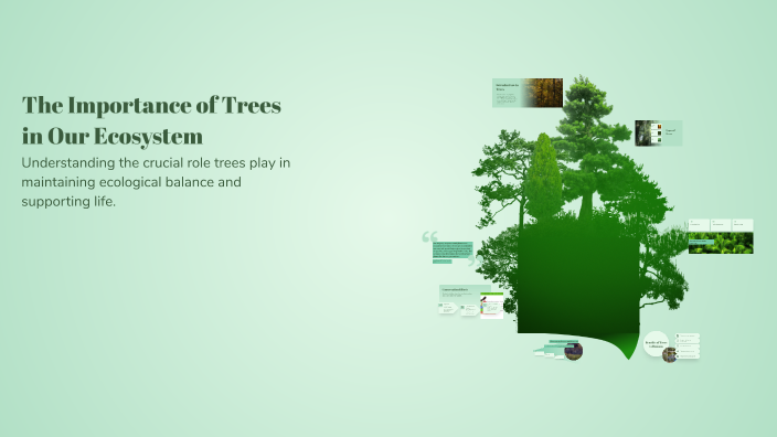 The Importance of Trees in Our Ecosystem by Kishore E on Prezi