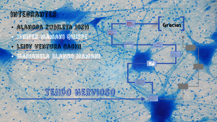 Tejido Nervioso by Josh Alanoca Zubileta on Prezi