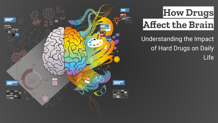 How Drugs Affect the Brain by Diane Lawrence on Prezi
