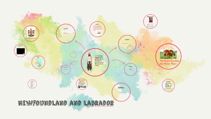 Newfoundland by Shelby Heimer on Prezi