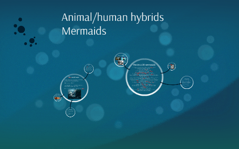 Animal/Human hybrids- Mermaids by jessica cheney on Prezi