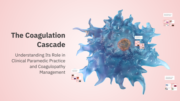 The Coagulation Cascade by Seb Clover on Prezi