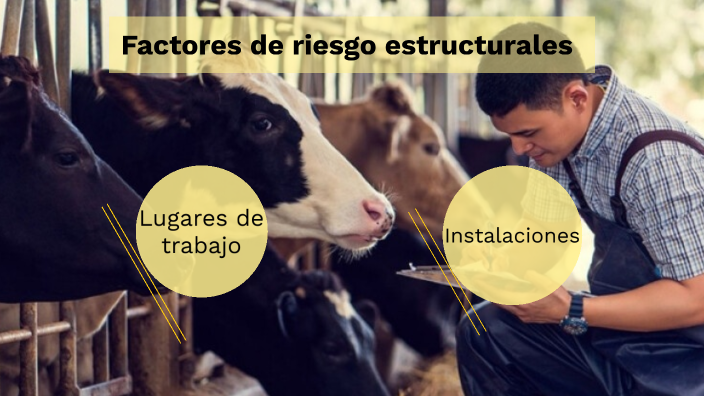 factors de risc estructurals by nicole naranjo on Prezi