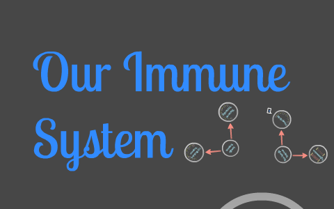 Our Immune System by suniro nou on Prezi