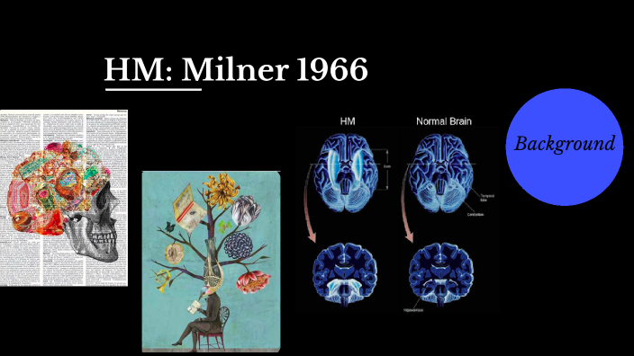 HM: Milner 1966 by freya safieh on Prezi