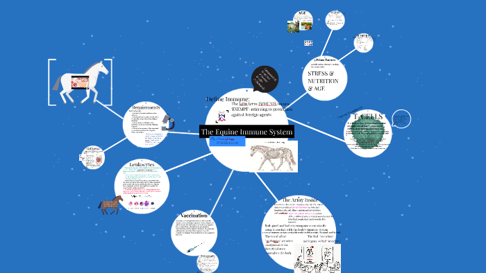 The Equine Immune System by Marisa Werner on Prezi Next