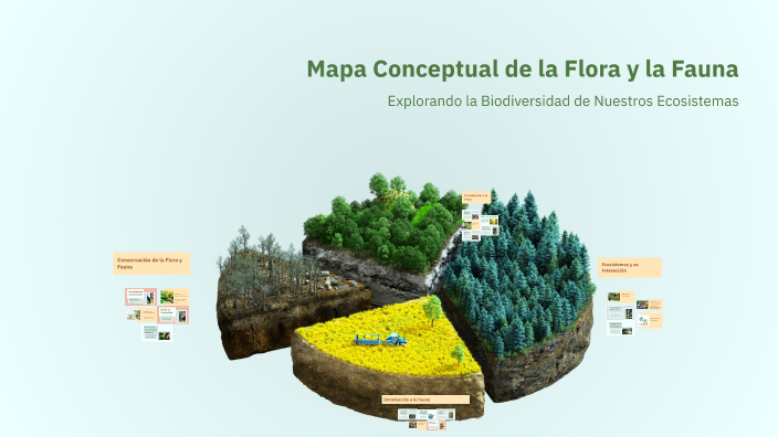Mapa Conceptual de la Flora y la Fauna by claudia gabriela neri islas ...