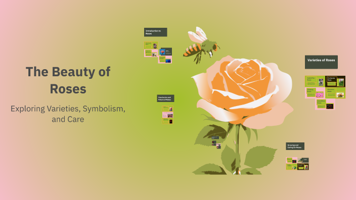 The Beauty of Roses by Lulu Mamari on Prezi