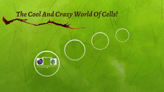 The Cool And Crazy World Of Cells! by Layla White on Prezi