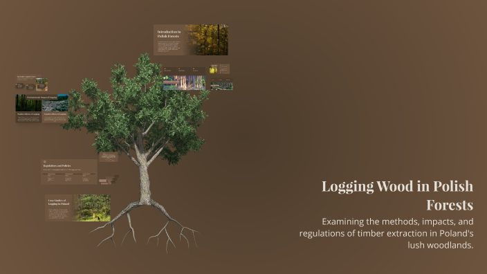 Logging Wood in Polish Forests by on Prezi