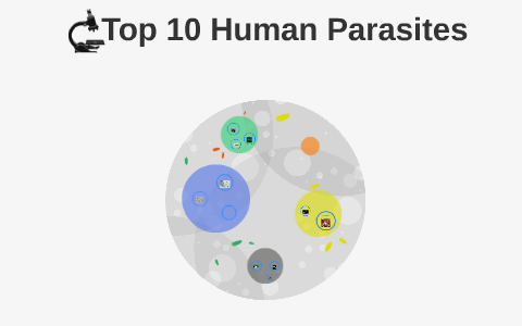 Top 10 Human Parasites by Caro Ledezma Pérez on Prezi